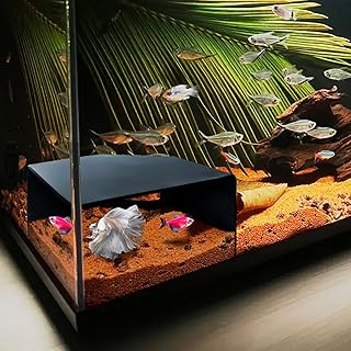 The Ideal Living Space For Your Axolotl: Where To Keep Your Aquatic Pet ...
