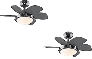 Ciata Small Ceiling Fan With Light, 24 Inch Quince Indoor Ceiling Fan ...