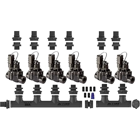 Amazon.com : SPW Rain Bird Premium Valve Manifold System 100DVF with ...