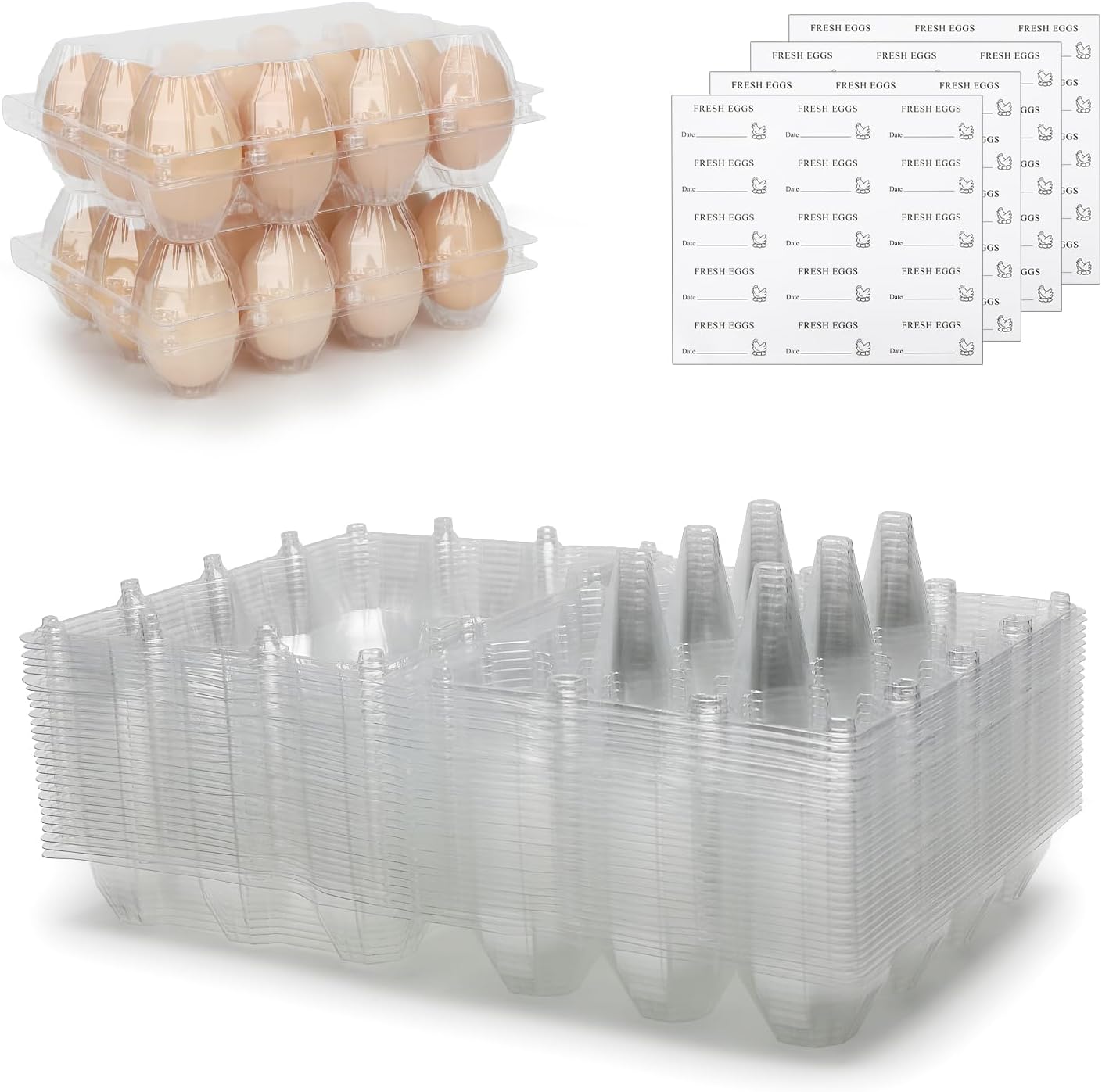 Amazon.com: ZCOINS Egg Cartons Reusable Cheap Bulk 60 PACK, Hold 12 ...