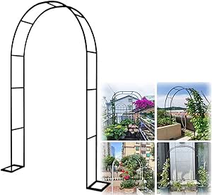 Amazon.com : Metal Arch Arbor Garden Arch for Various Climbing Plants ...
