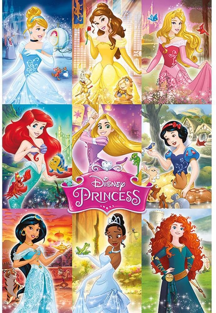 Amazon.com: Disney Princess - Poster (12 Disney Princesses) (Size: 24 ...