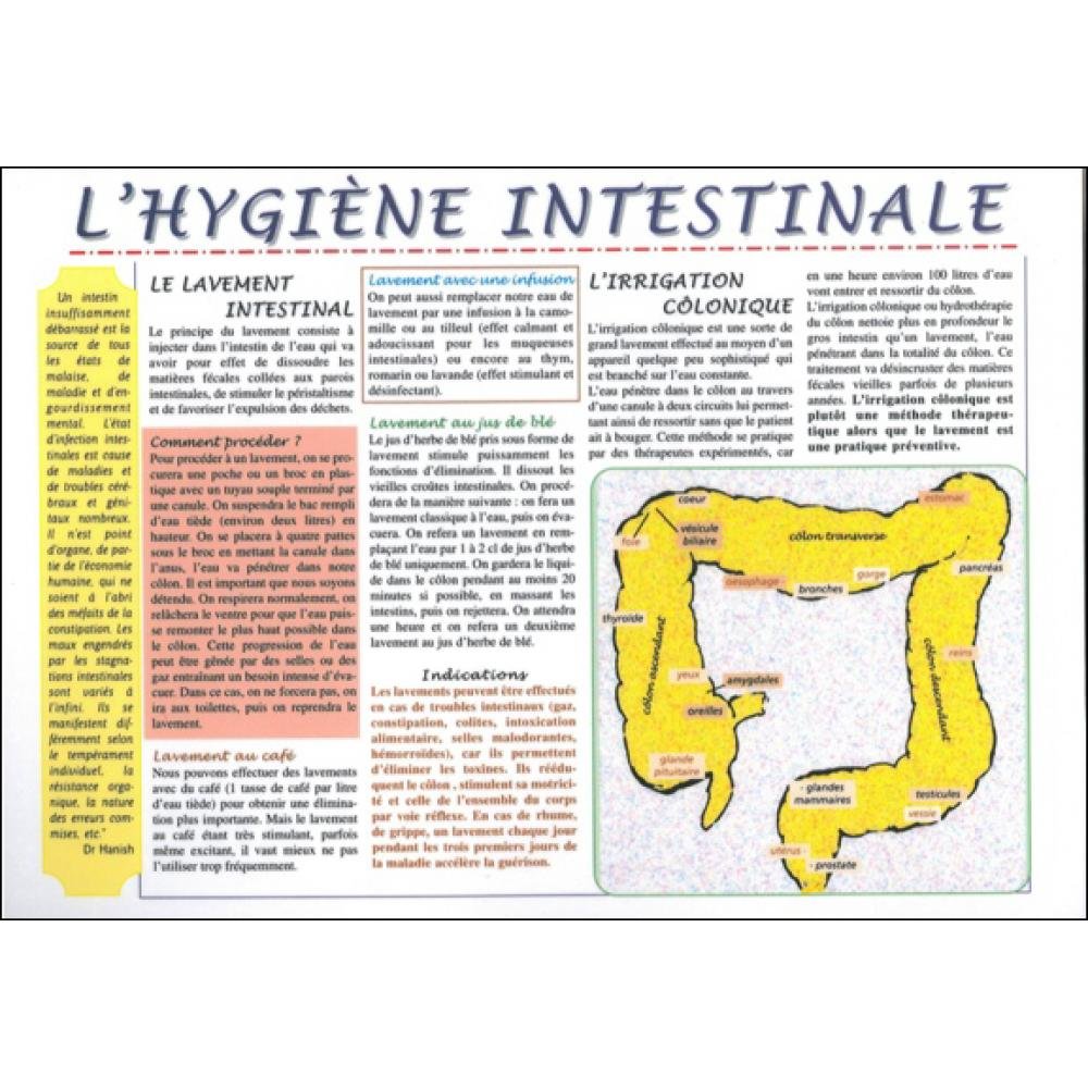 Planche Hygiène intestinale - A4: Books- Amazon.ae