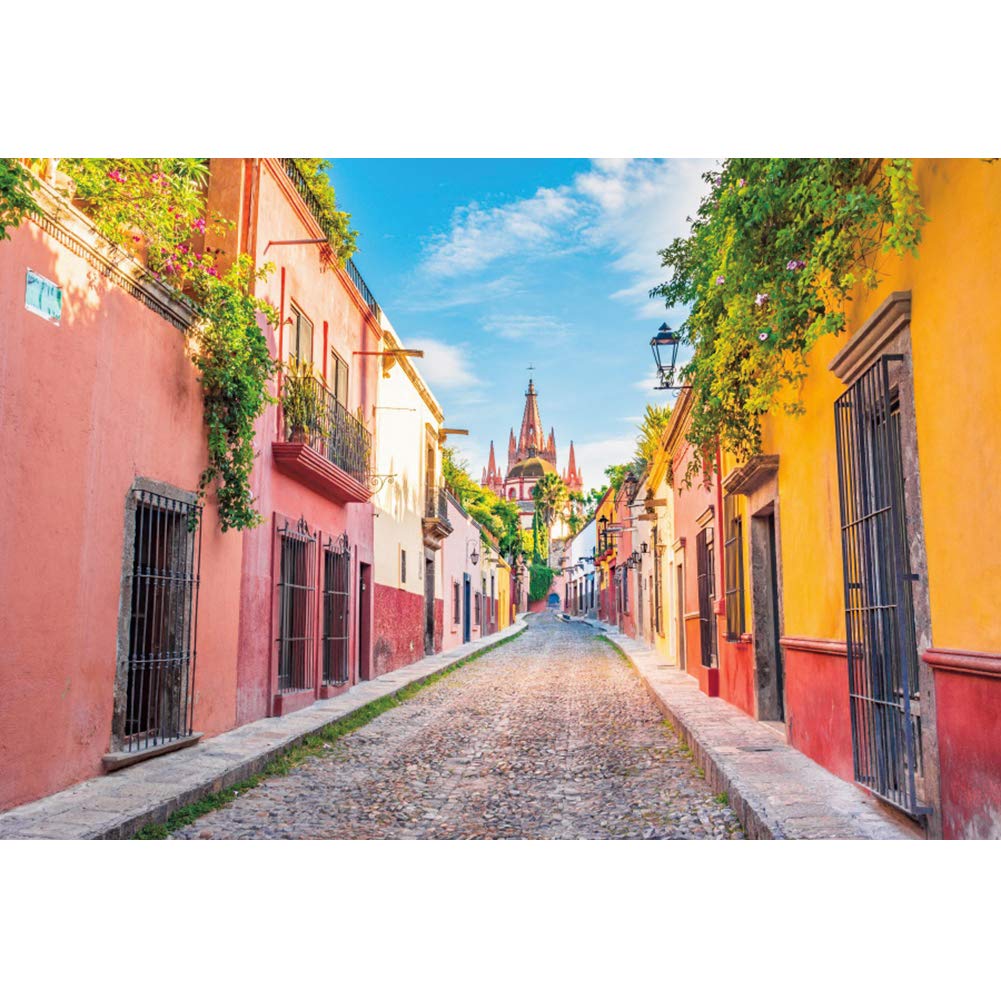 Amazon.com: Leowefowa 10x8ft Vinyl Mexico Town Street Photography ...