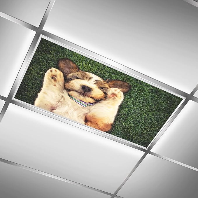 Lights Fluorescent Light Covers for Classroom Office Cute Animal Dog ...
