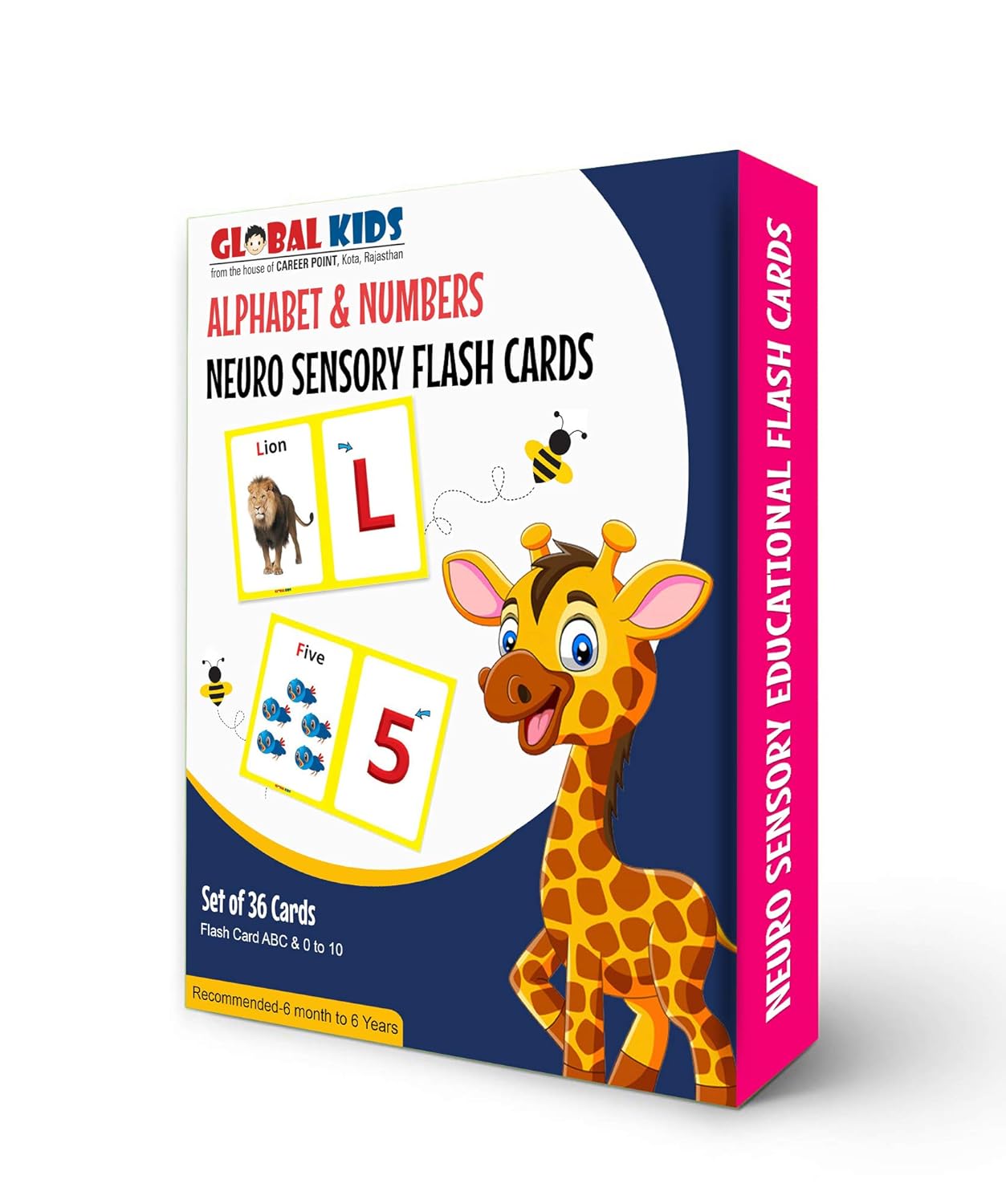 Neuro Sensory Educational Flash Cards: Alphabet & Numbers Early Math ...