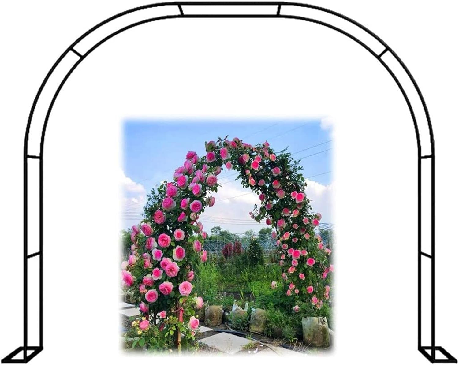 Amazon.com : Heavy Duty Garden Arch Large Climbing Plants Support ...