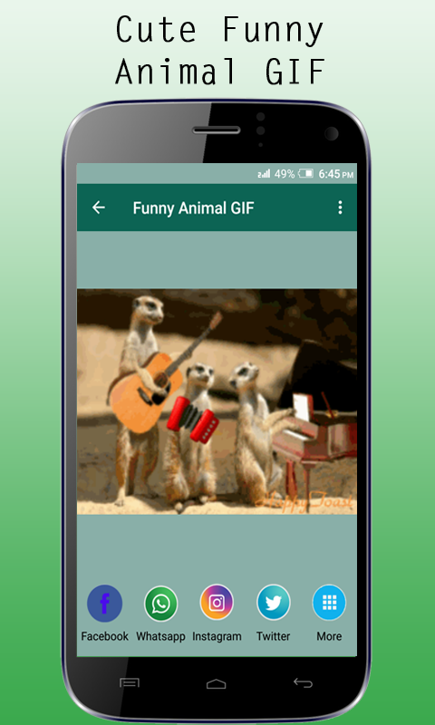 Cute Funny Animal GIF - App on Amazon Appstore