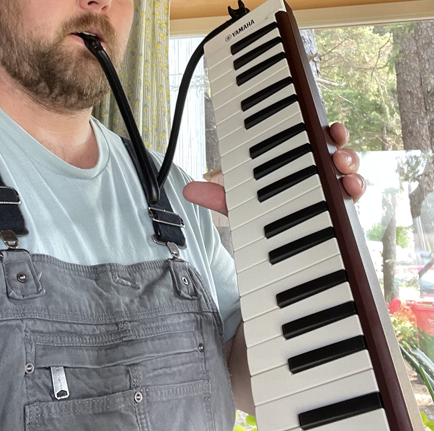 Amazon.com: Yamaha Pianica 37-Note Melodica, Brown (P-37EBR) : Musical ...