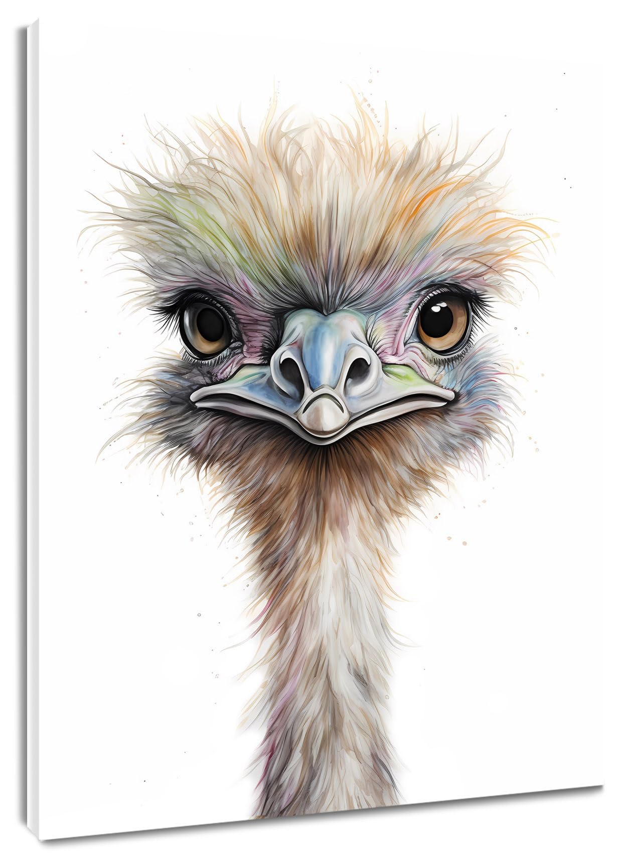 Amazon.com: HVEST Ostrich Canvas Wall Art Funny Cute Animal Ostrich ...