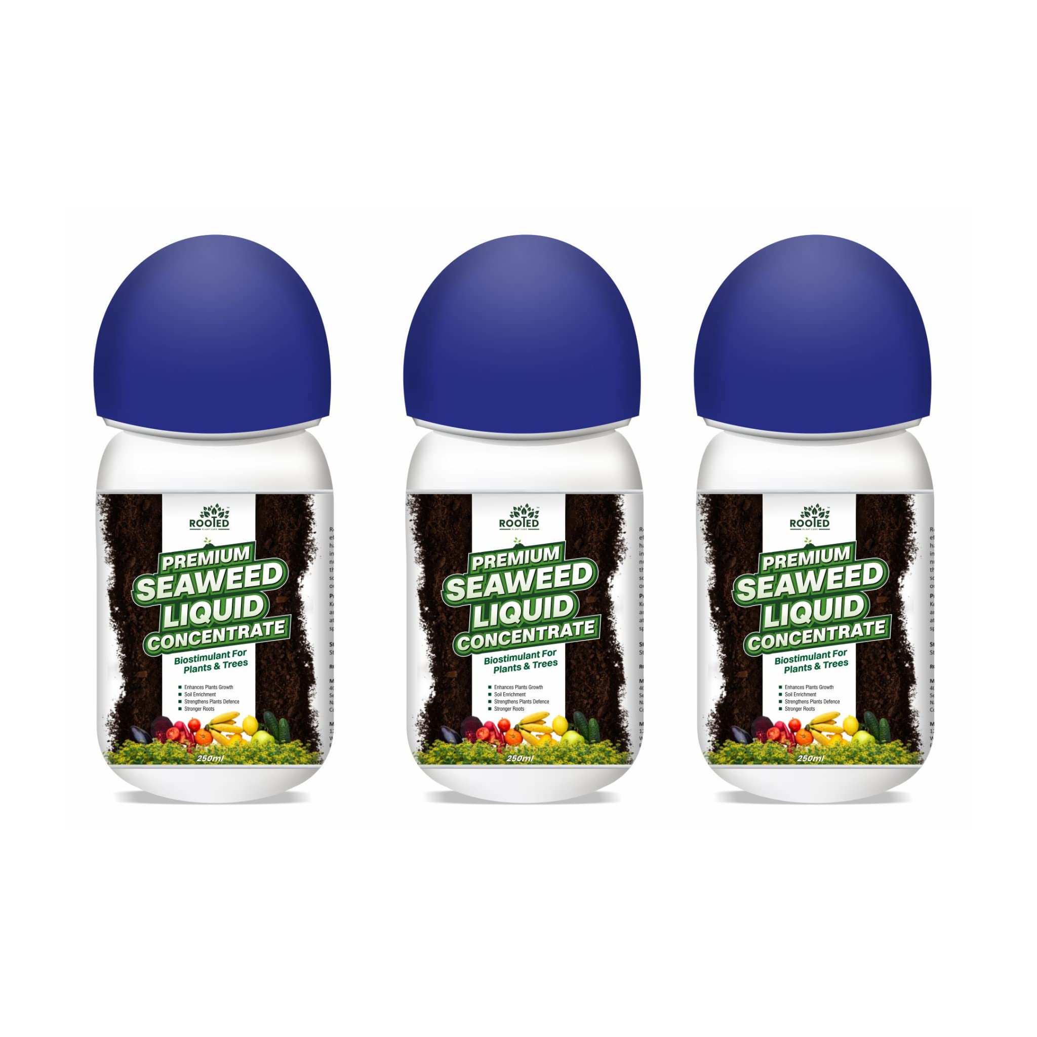 ROOTED Premium Seaweed Liquid Concentrate, Fertilizer For Plants And ...