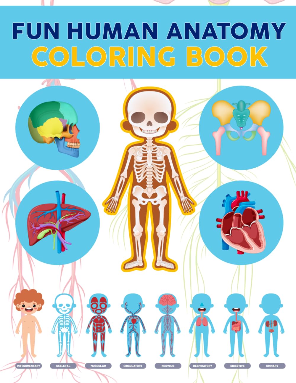 Amazon.com: Fun Human Anatomy Coloring Book: Human Body Systems ...