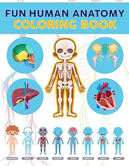 Amazon.com: Fun Human Anatomy Coloring Book: Human Body Systems ...