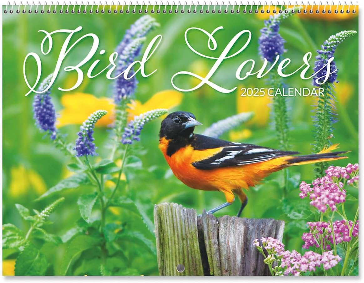 Amazon.com: 2025 Bird Lovers Wall Calendar, 12-Inch x 9-Inch Size ...