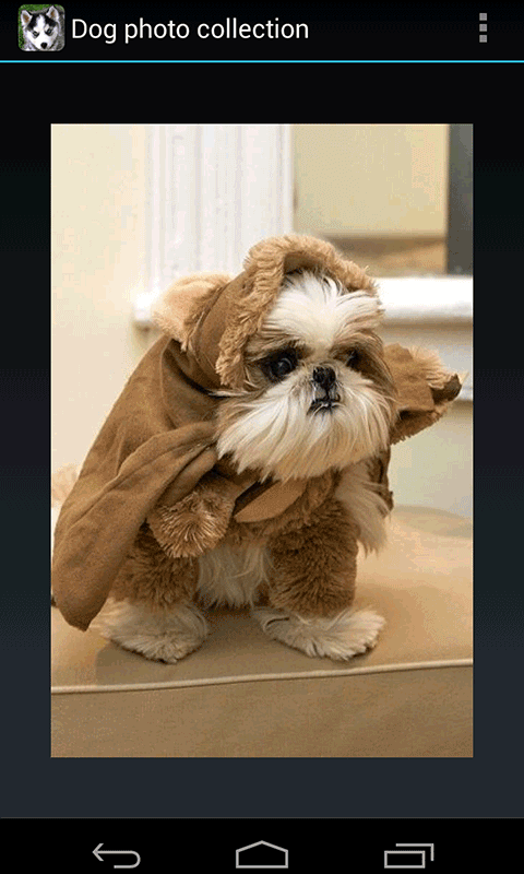 Cute puppies free - App on Amazon Appstore