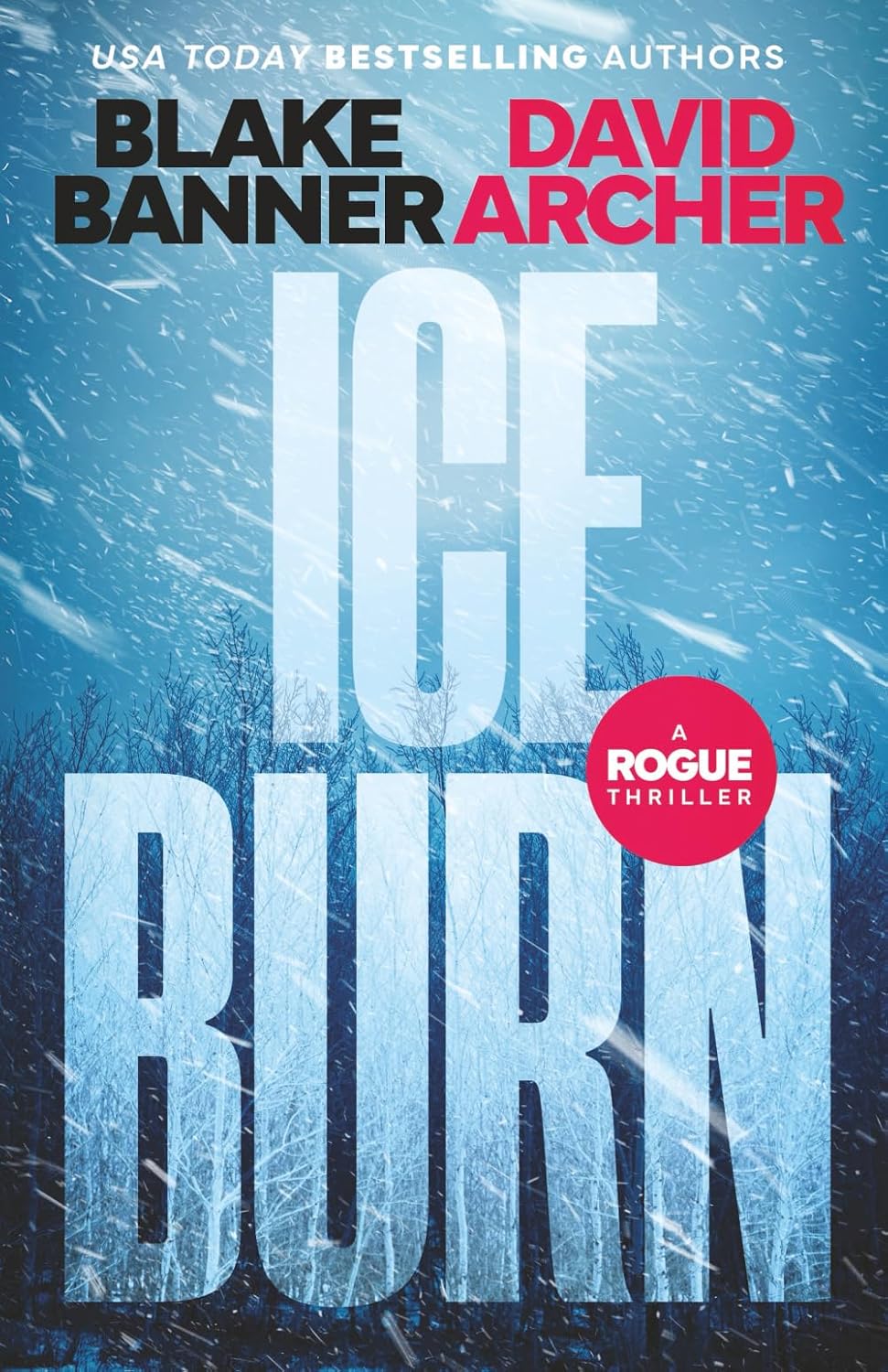 Amazon.com: Ice Burn (Rogue Thriller): 9781636964379: Banner, Blake ...