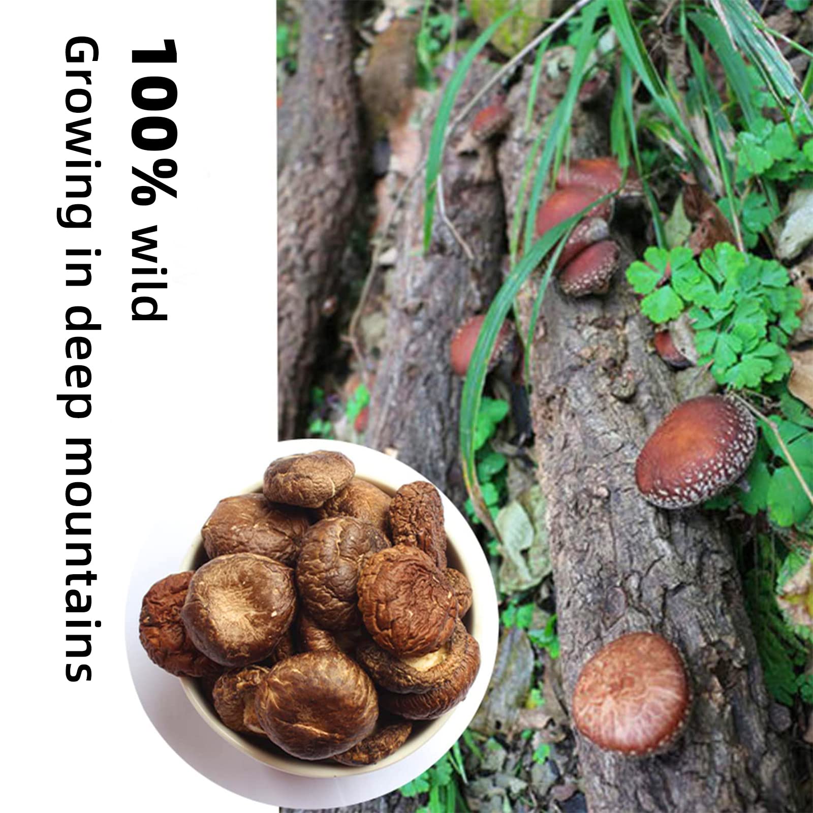 Wild Shiitake Mushrooms
