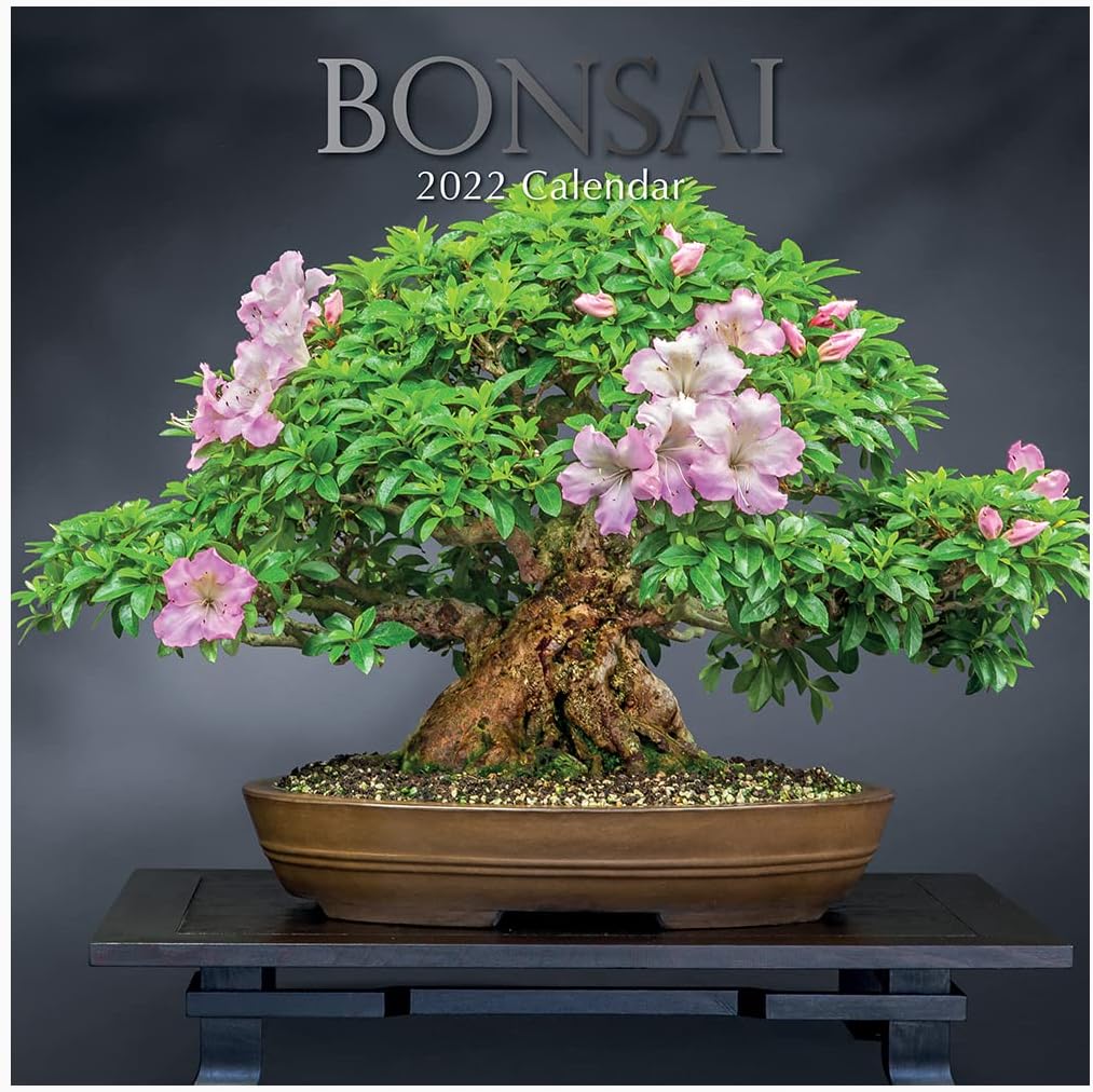 Calendario de pared cuadrado 2022 – Bonsai, vista mensual de 12 x 12 ...