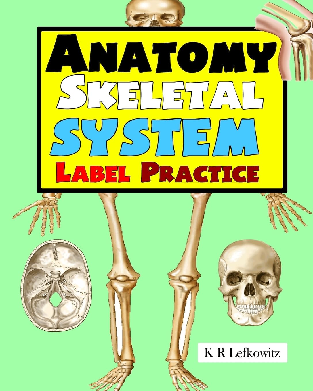 Anatomy Skeletal System Label Practice: Lefkowitz, K R: 9781533000835 ...