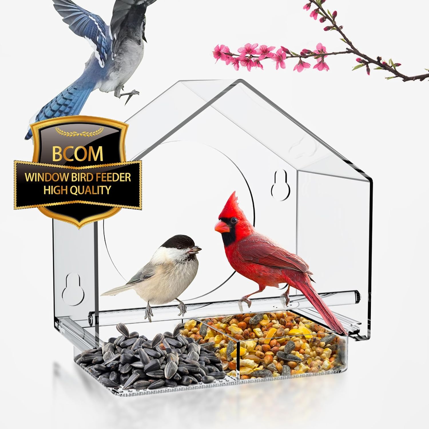 Amazon.com : Window Bird Feeder, BCOM Clear View Window Tray Bird ...