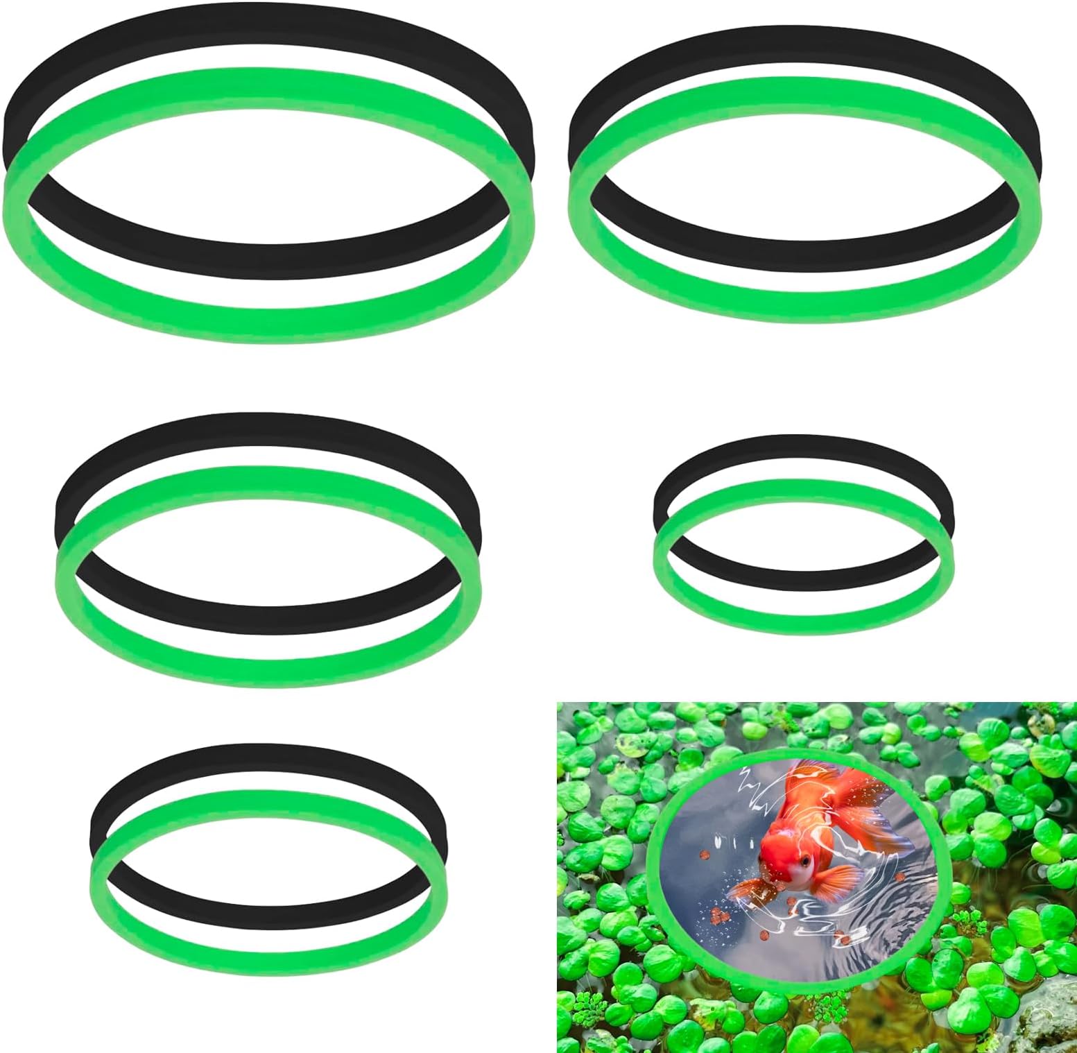 Amazon.com : AEDOVE 10 Pcs Fish Feeding Ring Round Floating Feeding ...