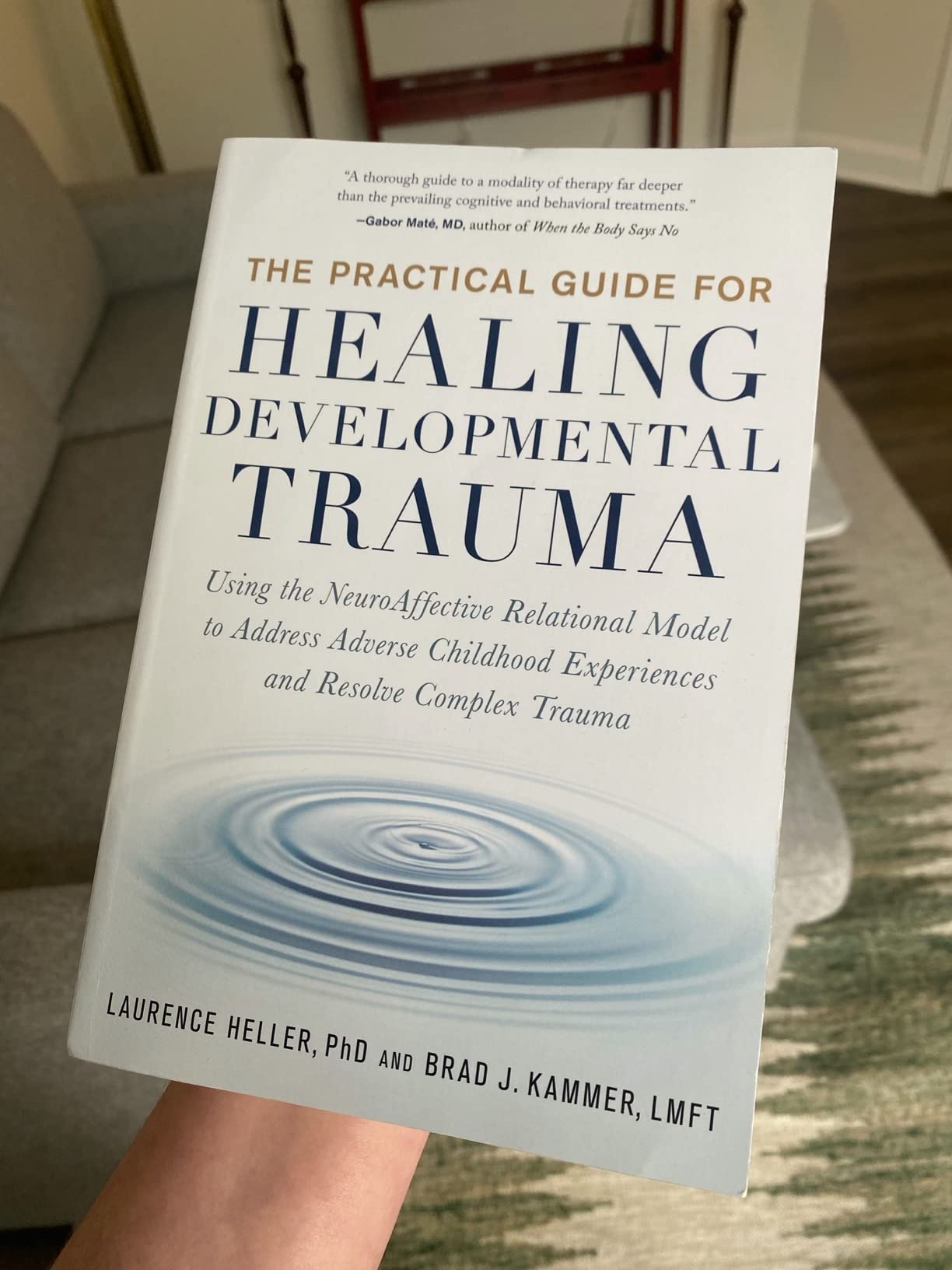 The Practical Guide for Healing Developmental Trauma: Using the ...