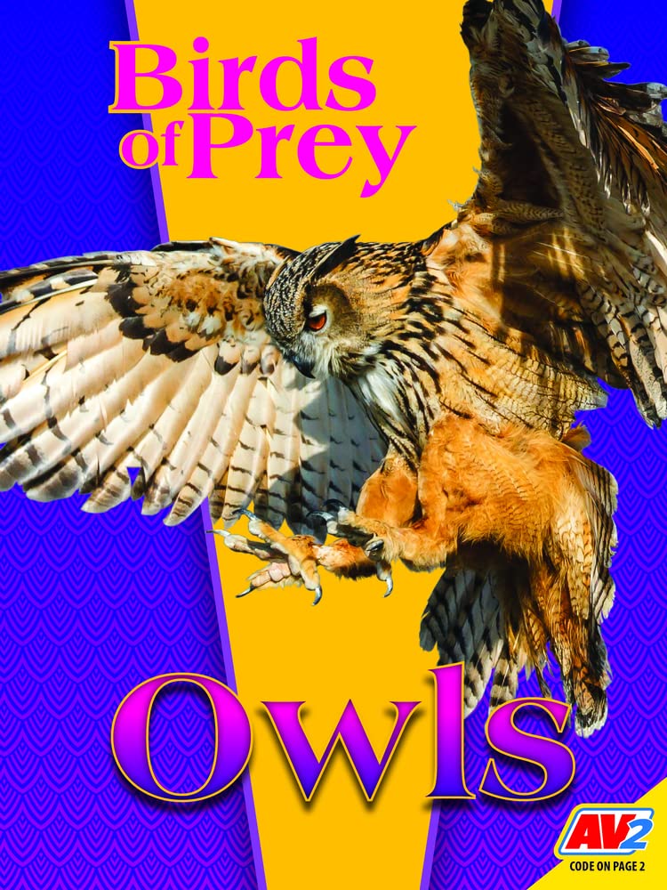 Owls (Birds of Prey): Winnick, Nick, Willis, John: 9781791147006 ...