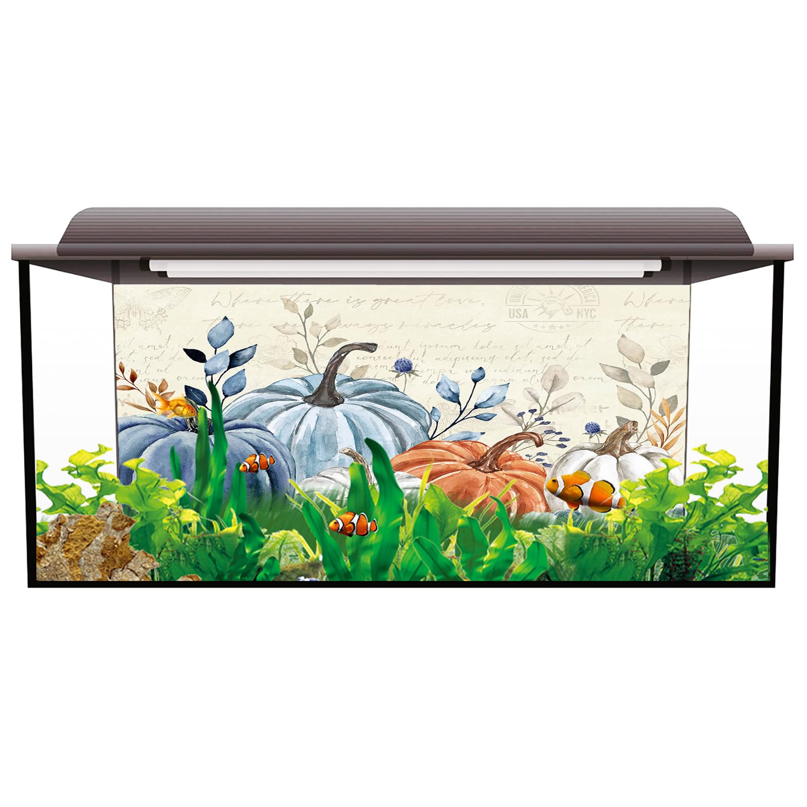 Empty Fish Tank Clipart