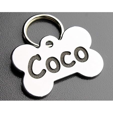 Amazon.com: Stainless Steel Custom DEEP Engraved Pet ID Tags ...