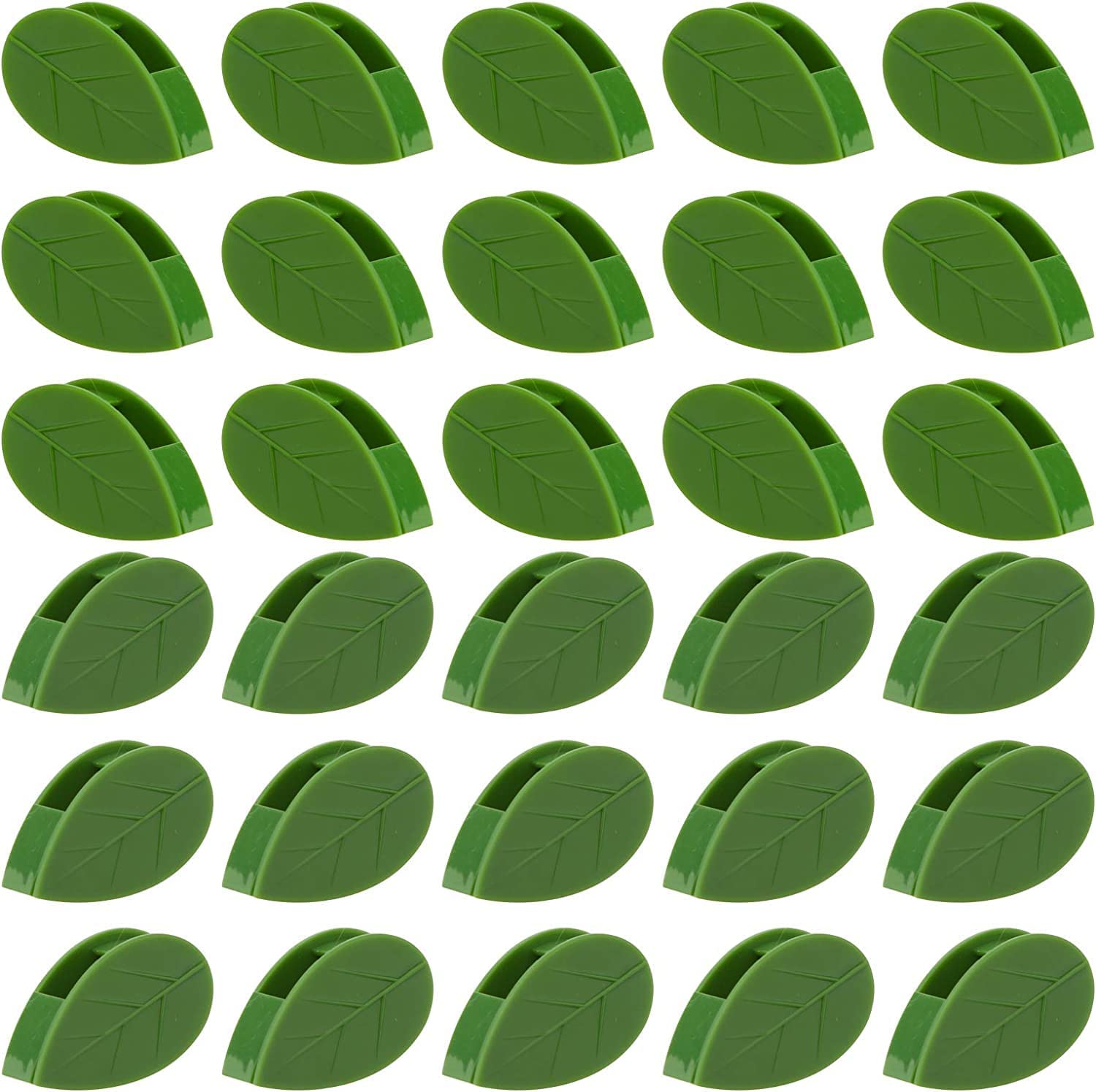 TASMAX Money Plant Holder Plant Support Clips Plant Clips for Climbers ...