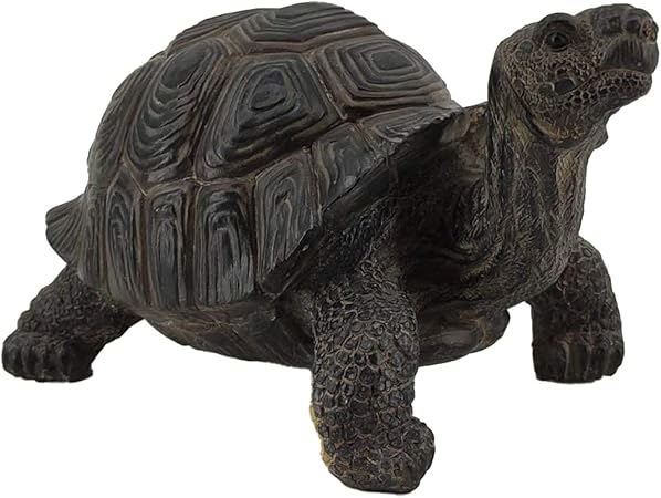Garden and Home Decor TOR001 - Realistic 11 Inch Tortoise Polyresin ...