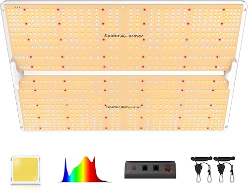 The 3 Best Grow Lights for Tomatoes - Backyard Gardeners Network