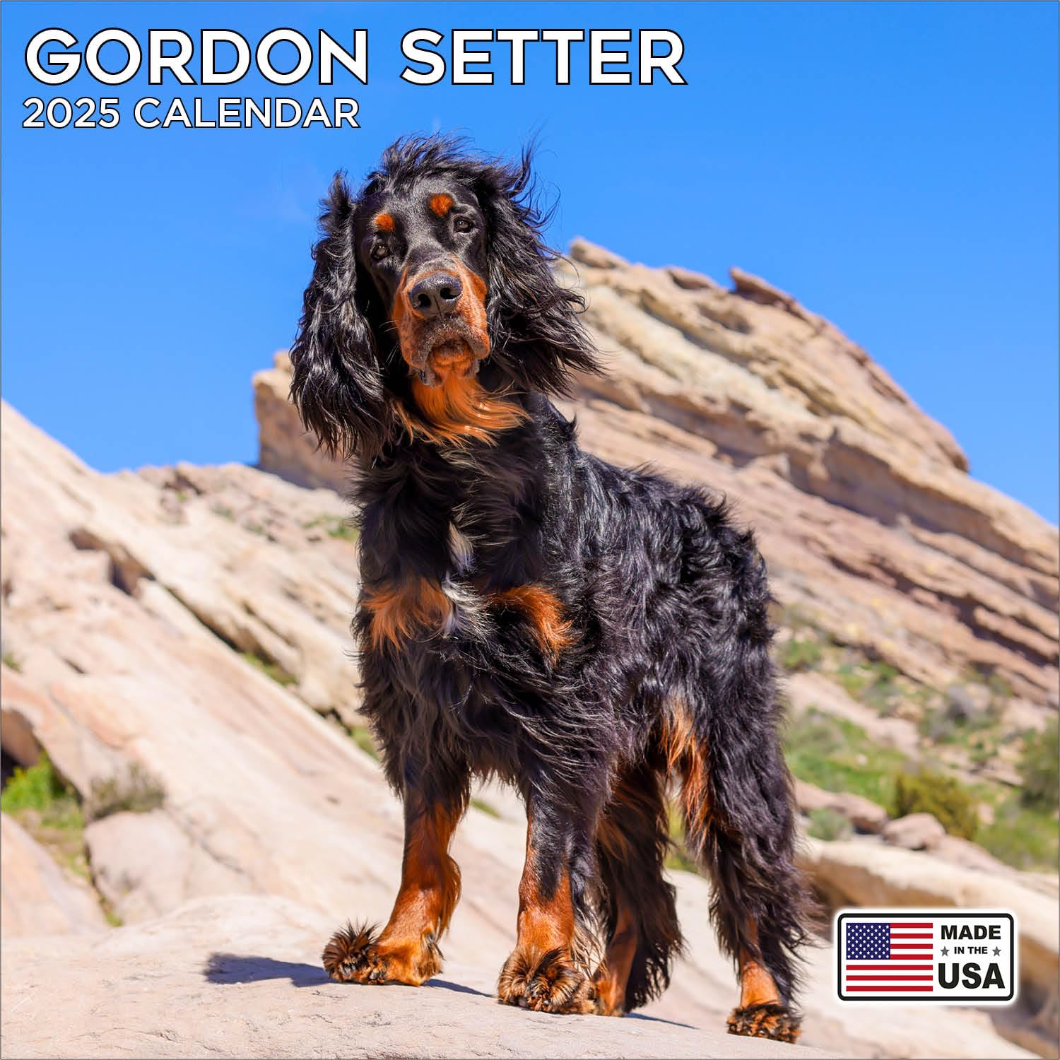 Snapklik.com : 2025 Gordon Setter Calendar - Dog Breed Wall Calendar ...