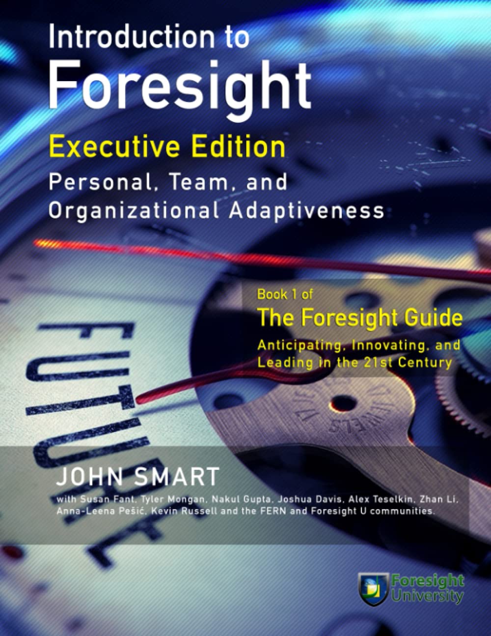 Introduction to Foresight, Executive Edition: Personal, Team, and ...