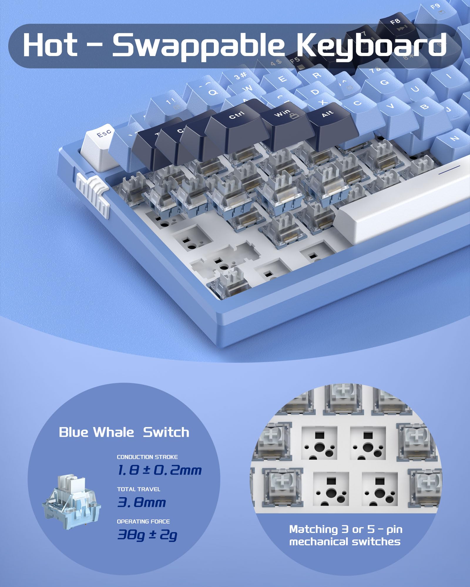 Snapklik.com : MageGee SKY81 75% Mechanical Gaming Keyboard, Gasket Hot ...