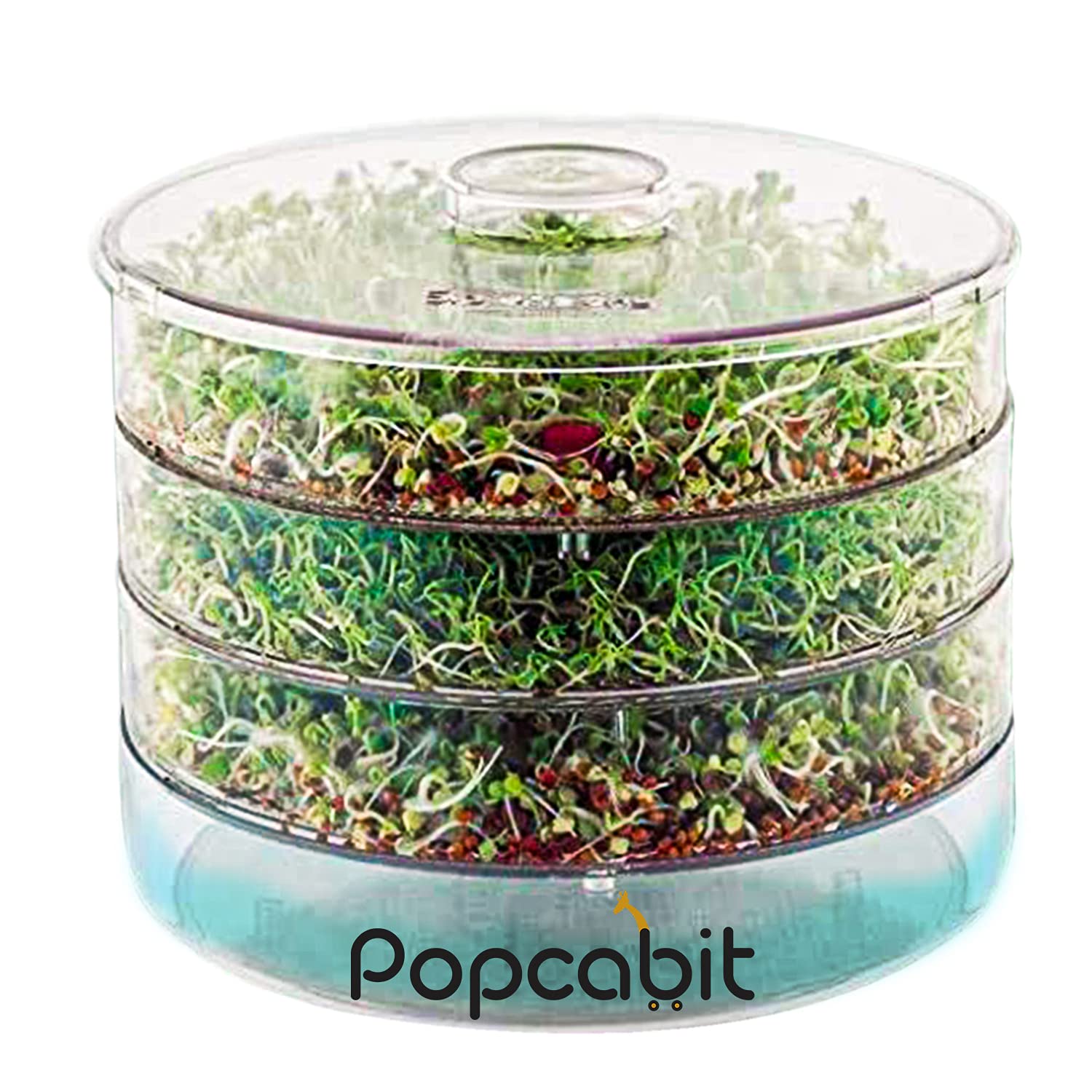 Popcabit Sprout Maker 4 layer Plastic Container Beans Sprouts Maker for ...