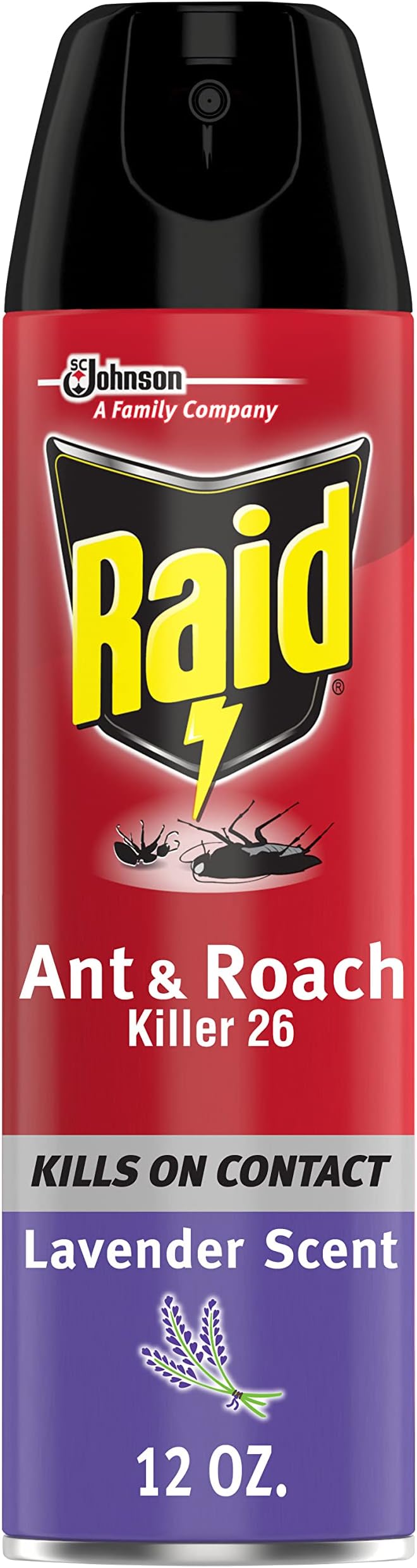 Amazon.com: Raid Ant & Roach Killer Spray Outdoor Fresh Scent 17.50 oz ...