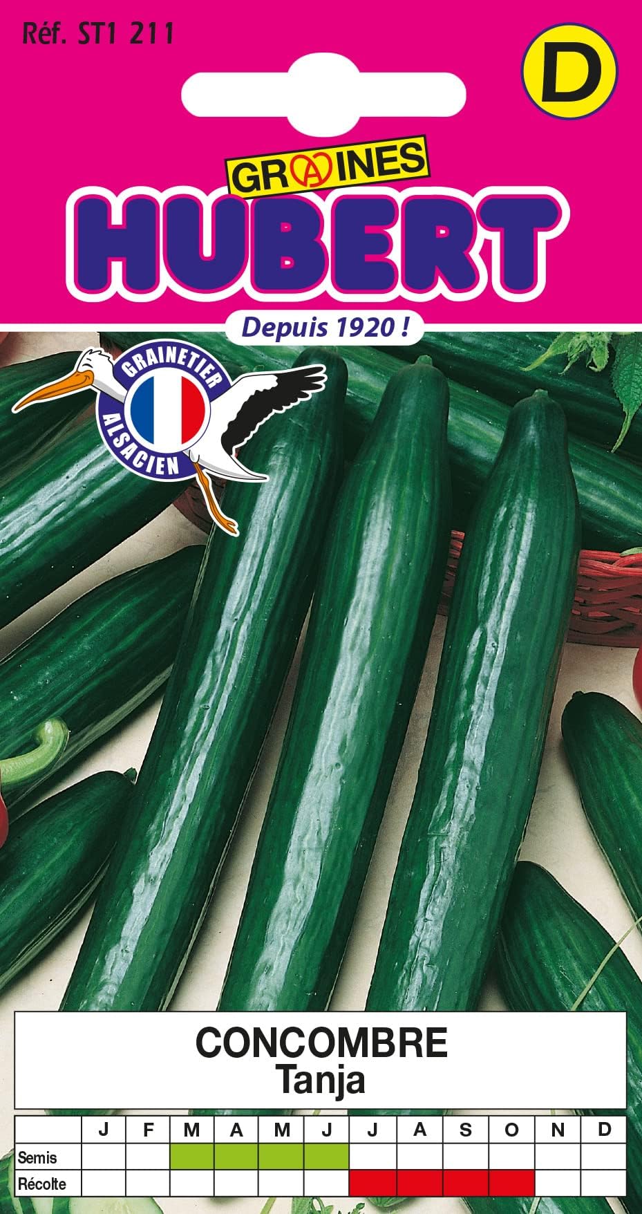 25 graines - CONCOMBRE Long Anglais - Cucumis sativus - Goût doux ...