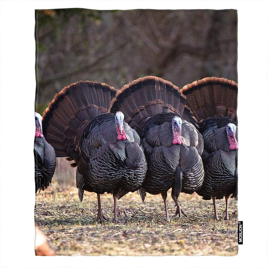 Amazon.com: Moslion Soft Cozy Throw Blanket The Forward Wild Turkey ...