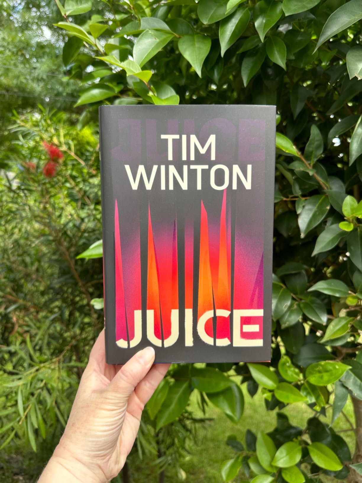 Juice eBook : Winton, Tim: Amazon.com.au: Kindle Store
