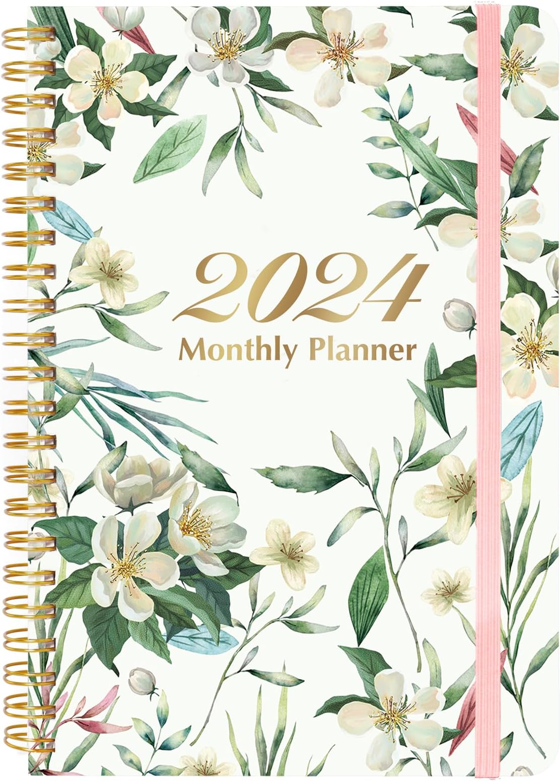 Diary 2024-2025 - 18 Month Diary from Jan. 2024 to Mid Year Jun.2024 ...