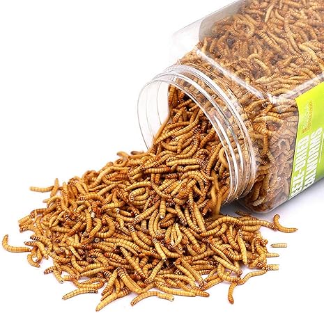Amazon.com : Tasty Freeze Dried Mealworms Reptile Worms Food for ...