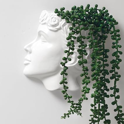 Amazon.com: Yuccasly Side-Face Ceramic Planter – Glossy White, Wall ...