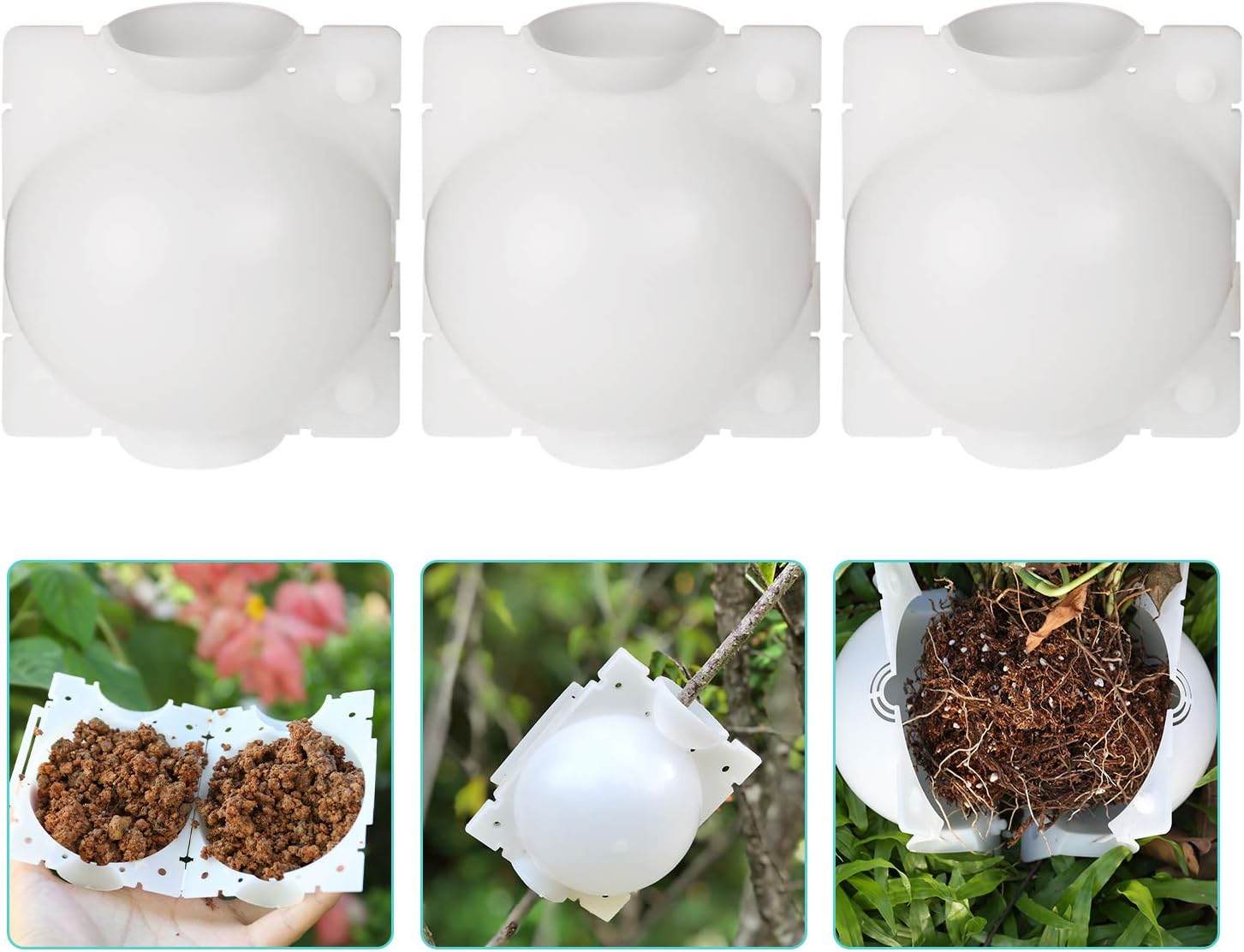Thten 3PCS Reusable Plant Rooting Device, Grafting Botany Root ...