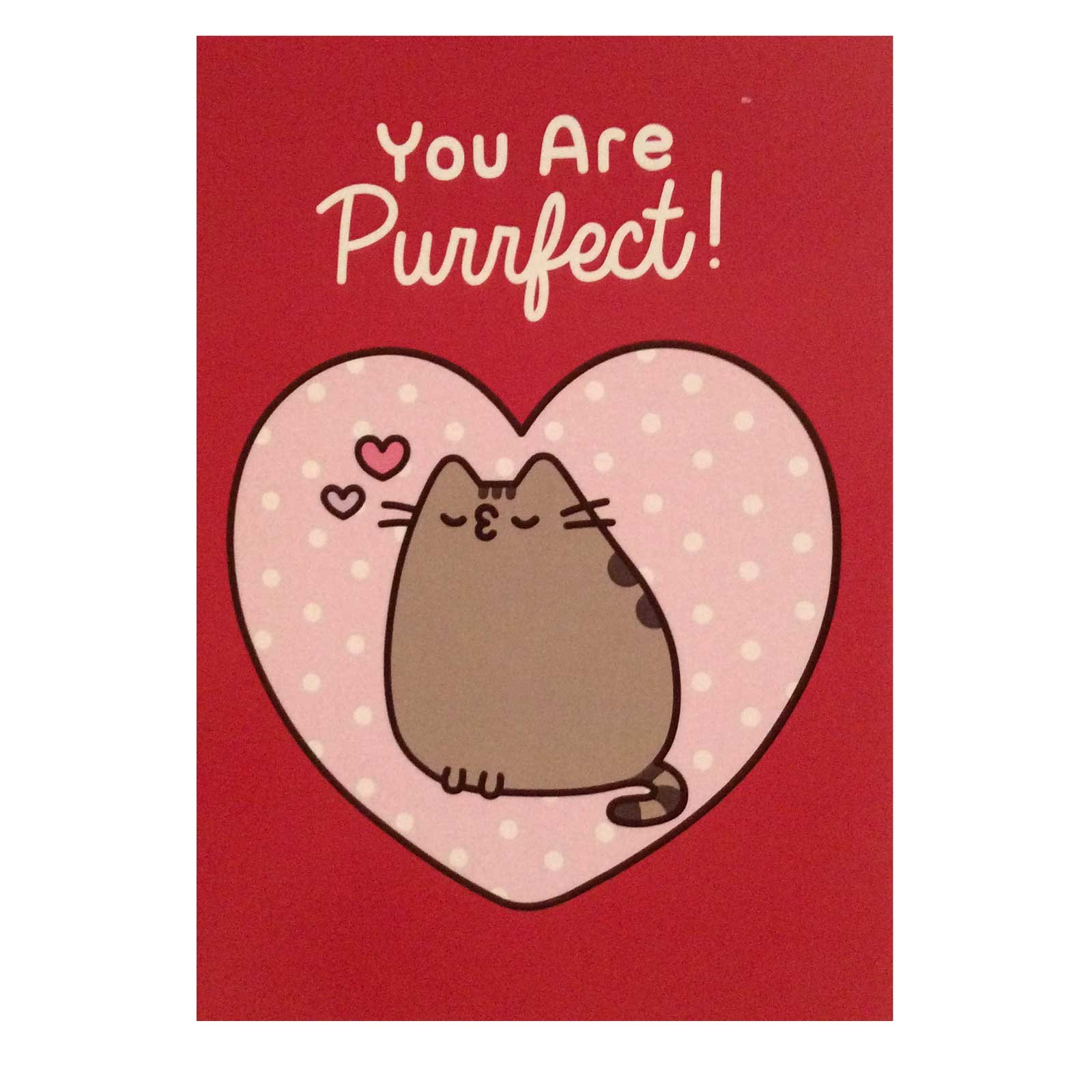 Pusheen the Cat Card Cute Love Valentine's : Amazon.co.uk: Stationery ...