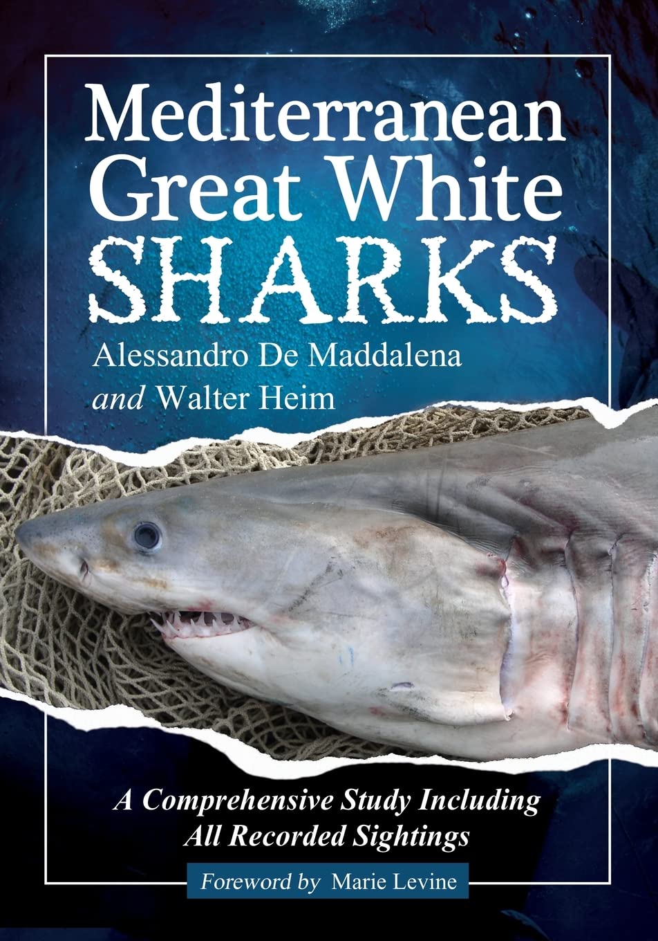 Amazon.com: Mediterranean Great White Sharks: A Comprehensive Study ...