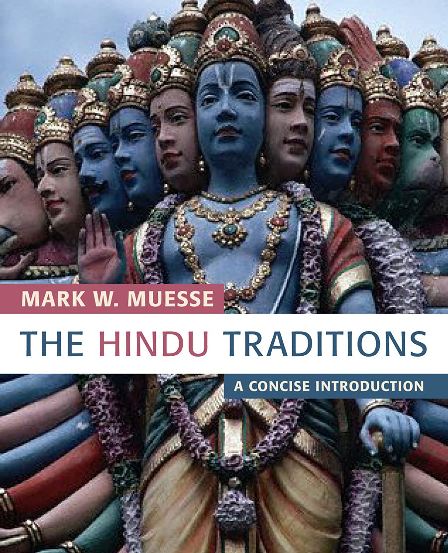 Amazon.com: The Hindu Traditions: A Concise Introduction: 9780800697907 ...