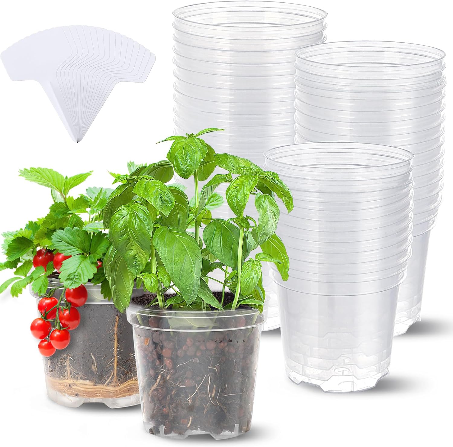 Amazon.com: UPINS Clear Pots for Plants, 40 Pack 4 Inch Nursery Pots ...