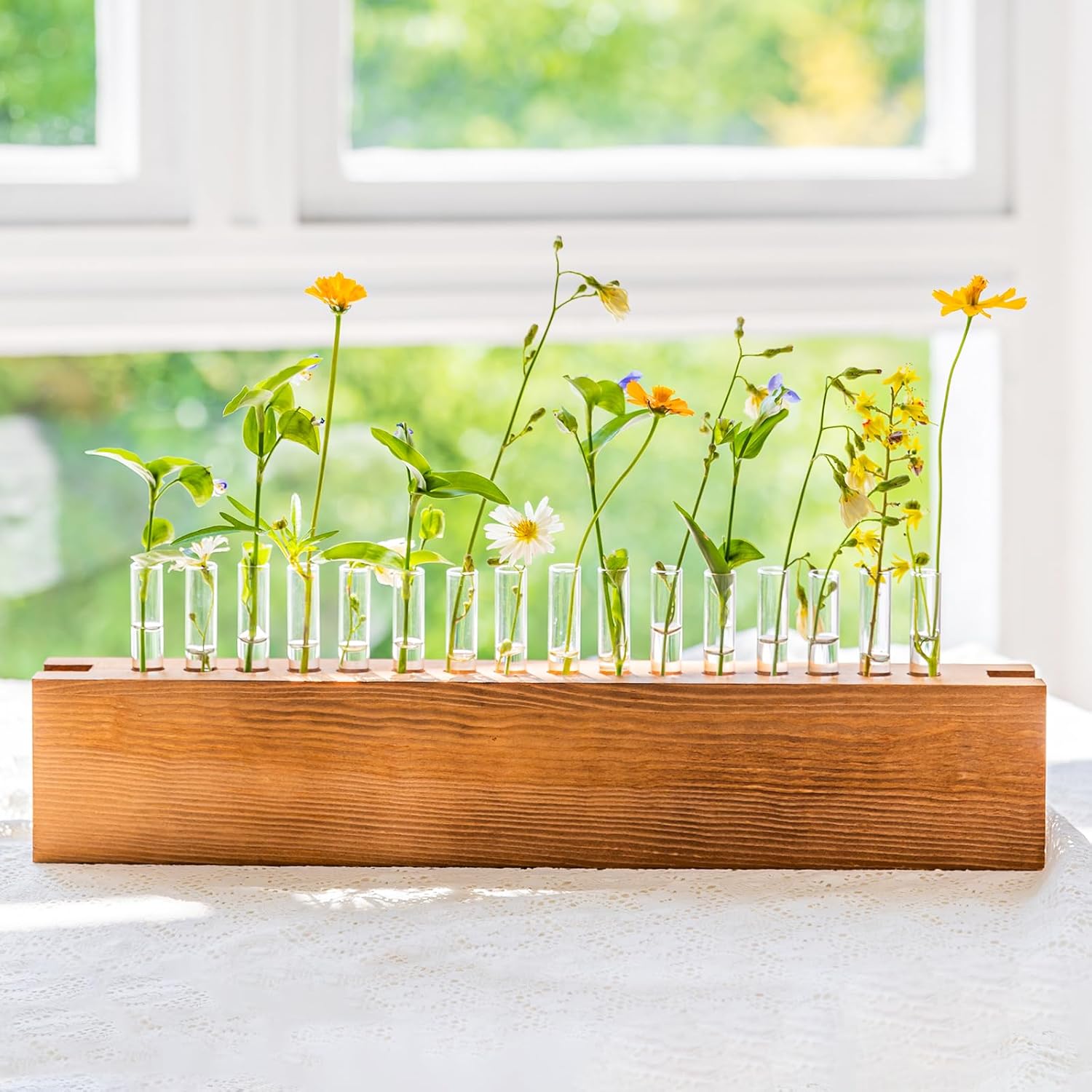 Amazon.com: Plant Propagation Station with Wooden Stand, Plant ...