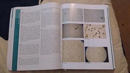 SUCCESS! in Clinical Laboratory Science: 9780135126486: Medicine ...